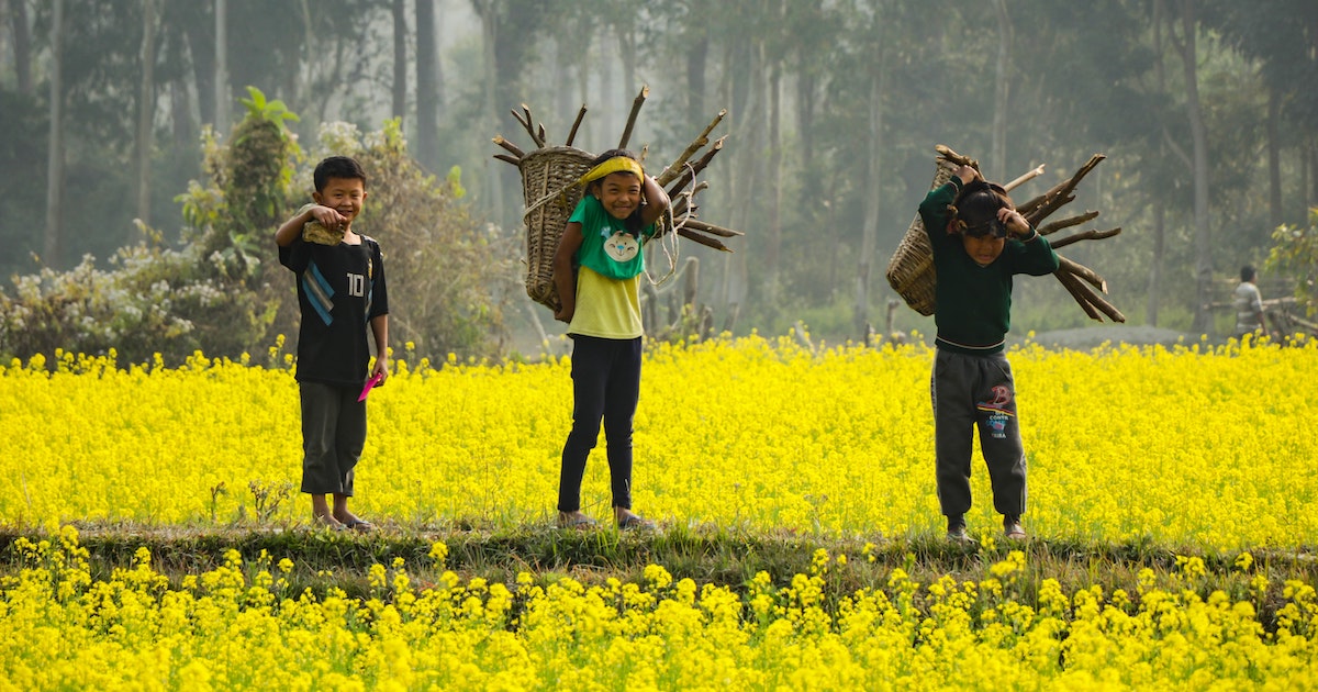 Fair labor practices